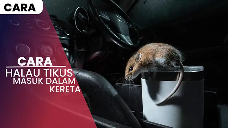 15 Cara Halau Tikus Masuk Dalam Kereta 100% Berkesan!